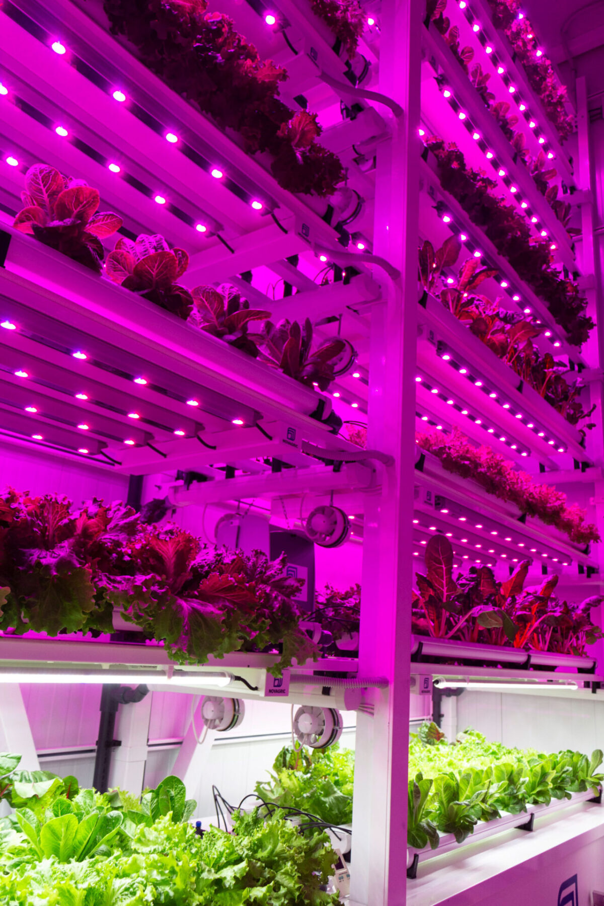 Vertical Farming | Novagric