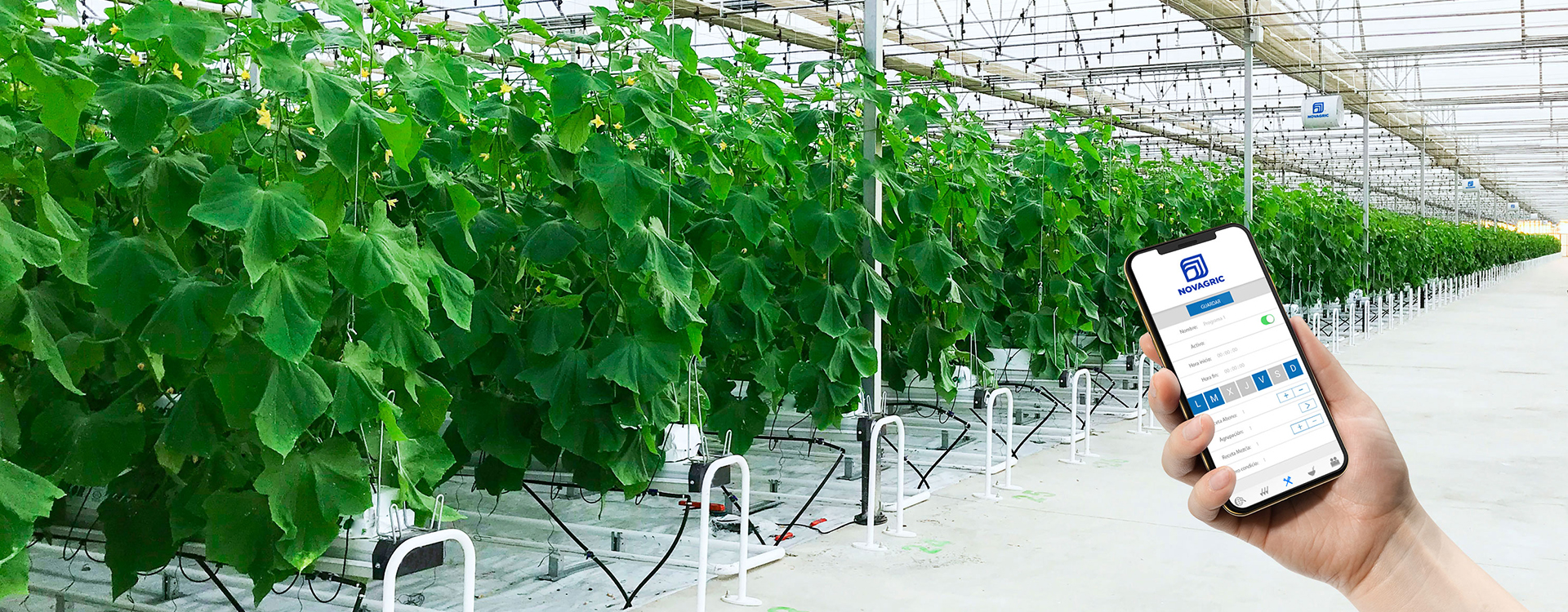 Invernadero Autocalentable Y Autohidráulico Invernadero