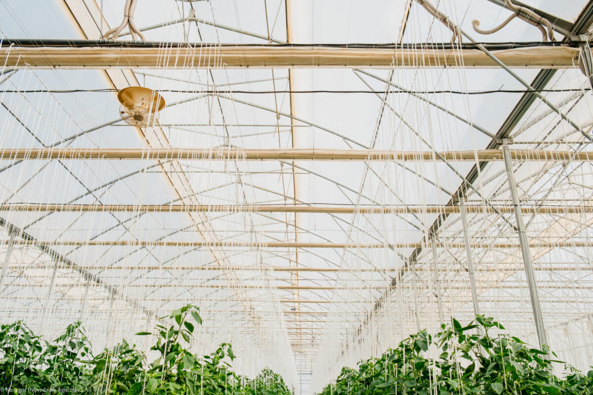 Invernaderos Automatizados e Inteligentes | Novagric