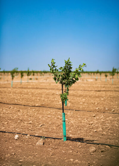 Soluciones de Riego Agrícola | Novagric